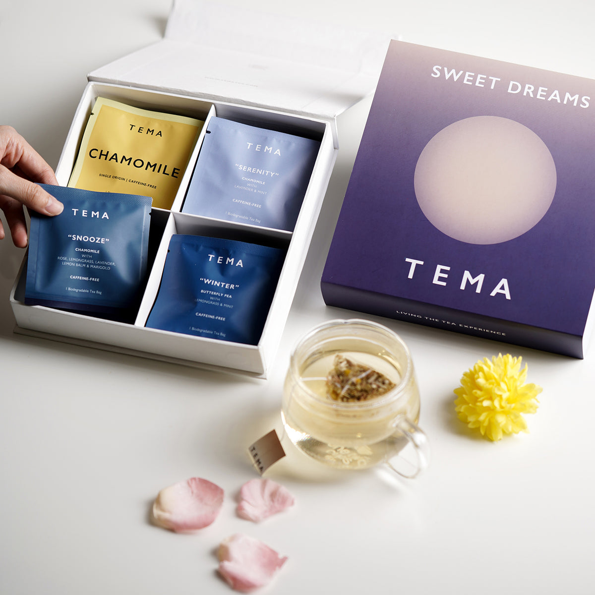 TEA SAMPLER BOX – TEMA Tea